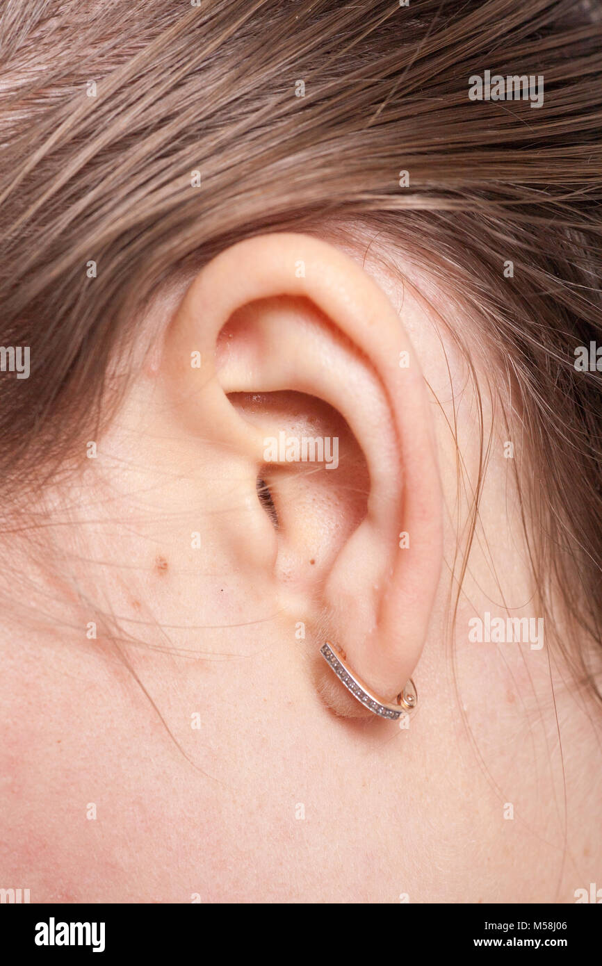 Detail of the head with female human ear and hair close up Stock Photo ...