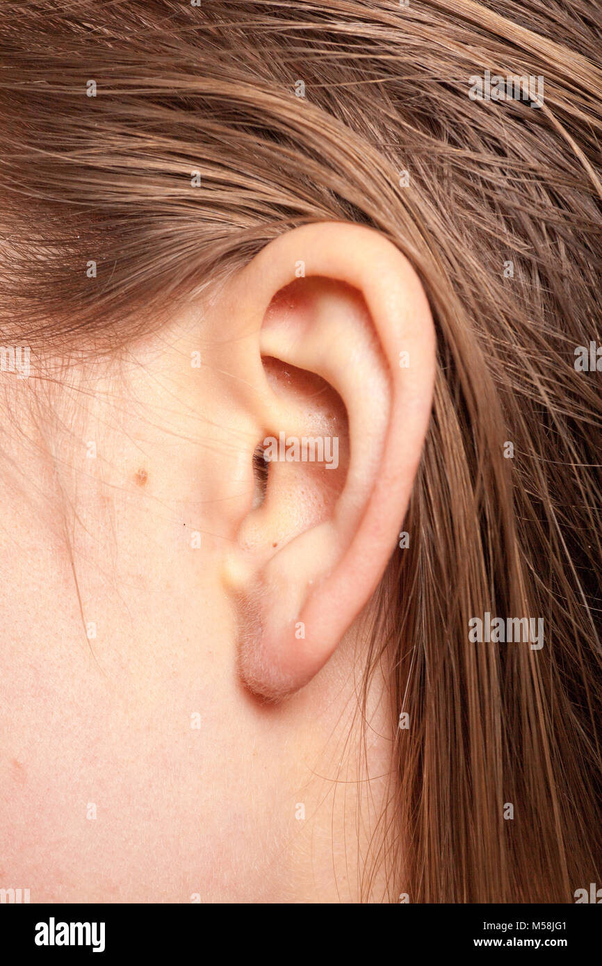 Detail of the head with female human ear and hair close up Stock Photo ...