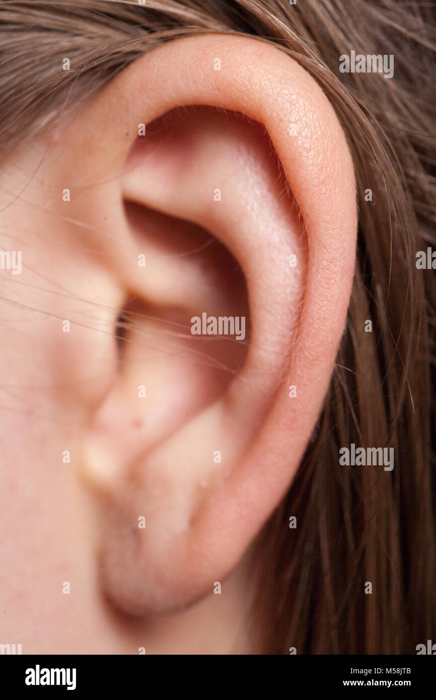 Detail of the head with female human ear and hair close up Stock Photo ...