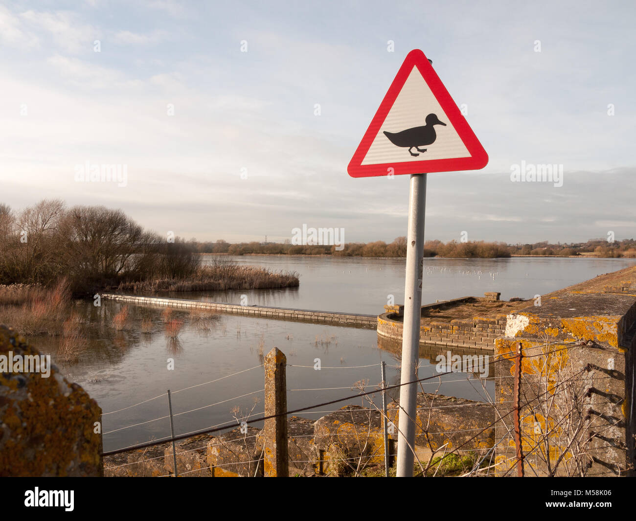 warning sign duck silhouette white and red triangle metal sign post ...