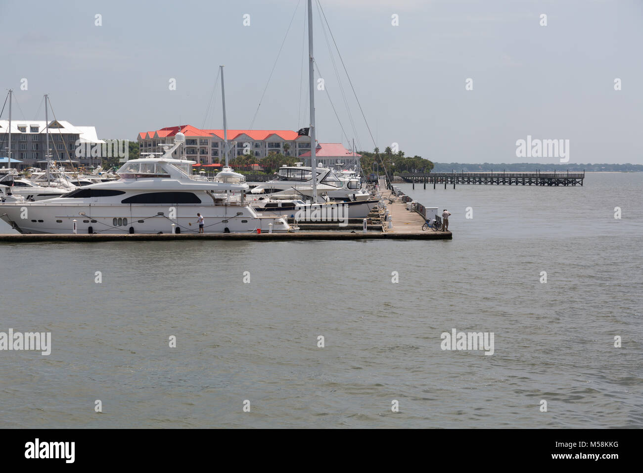 Port of Charleston South Carolina USA Stock Photo - Alamy