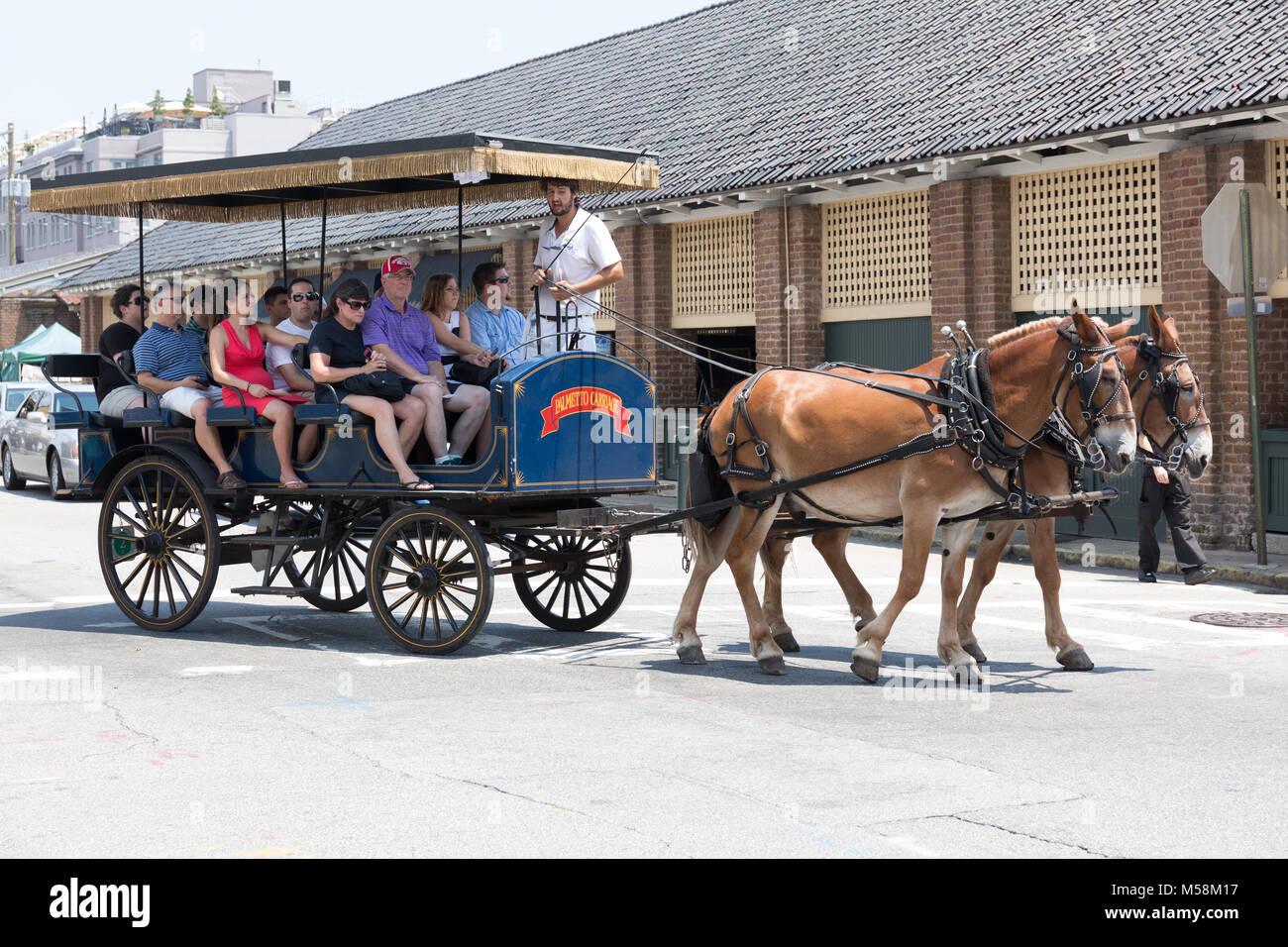 Palmetto carriage hi-res stock photography and images - Alamy