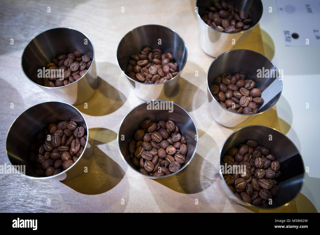 The Netherlands. Dutch Championship Barista Stock Photo - Alamy