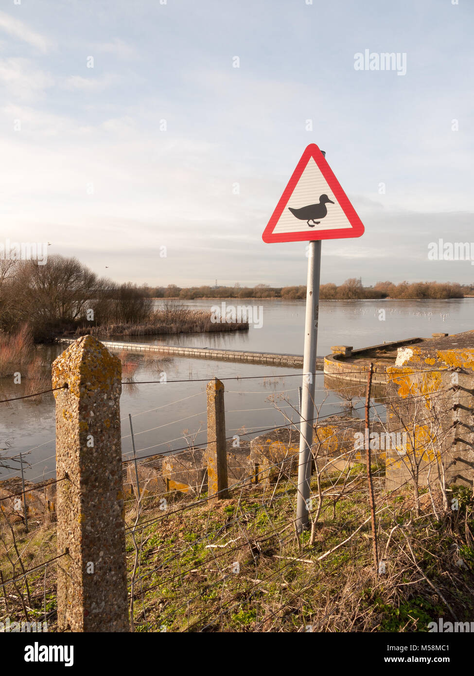 warning sign duck silhouette white and red triangle metal sign post ...