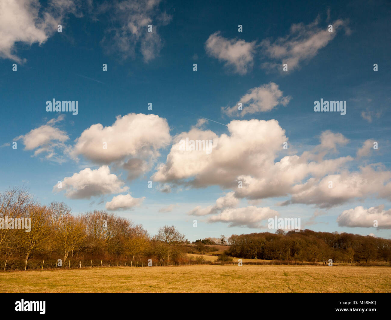 farm field agriculture bright blue with clouds countryside landscape ...