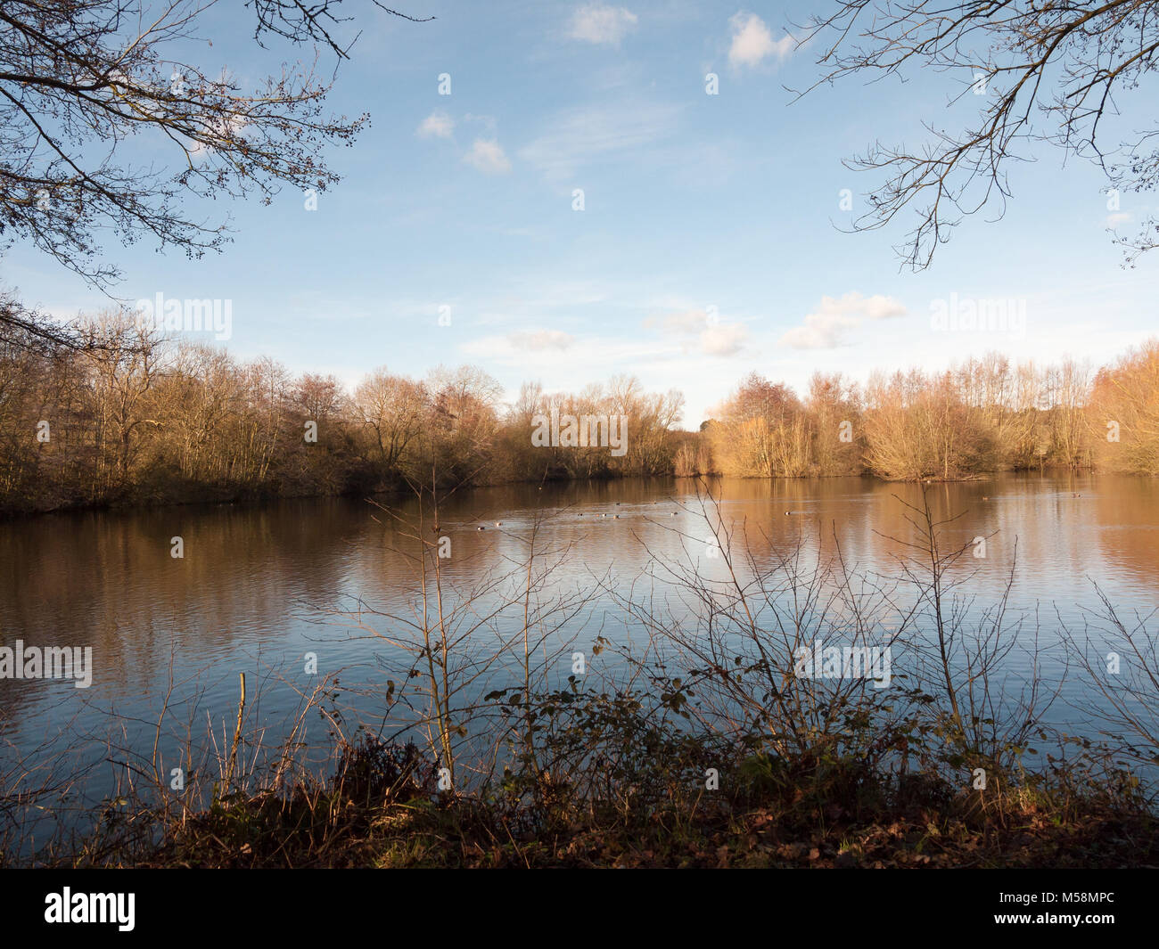 beautiful springtime lake scene outside nature reserve dedham; essex ...