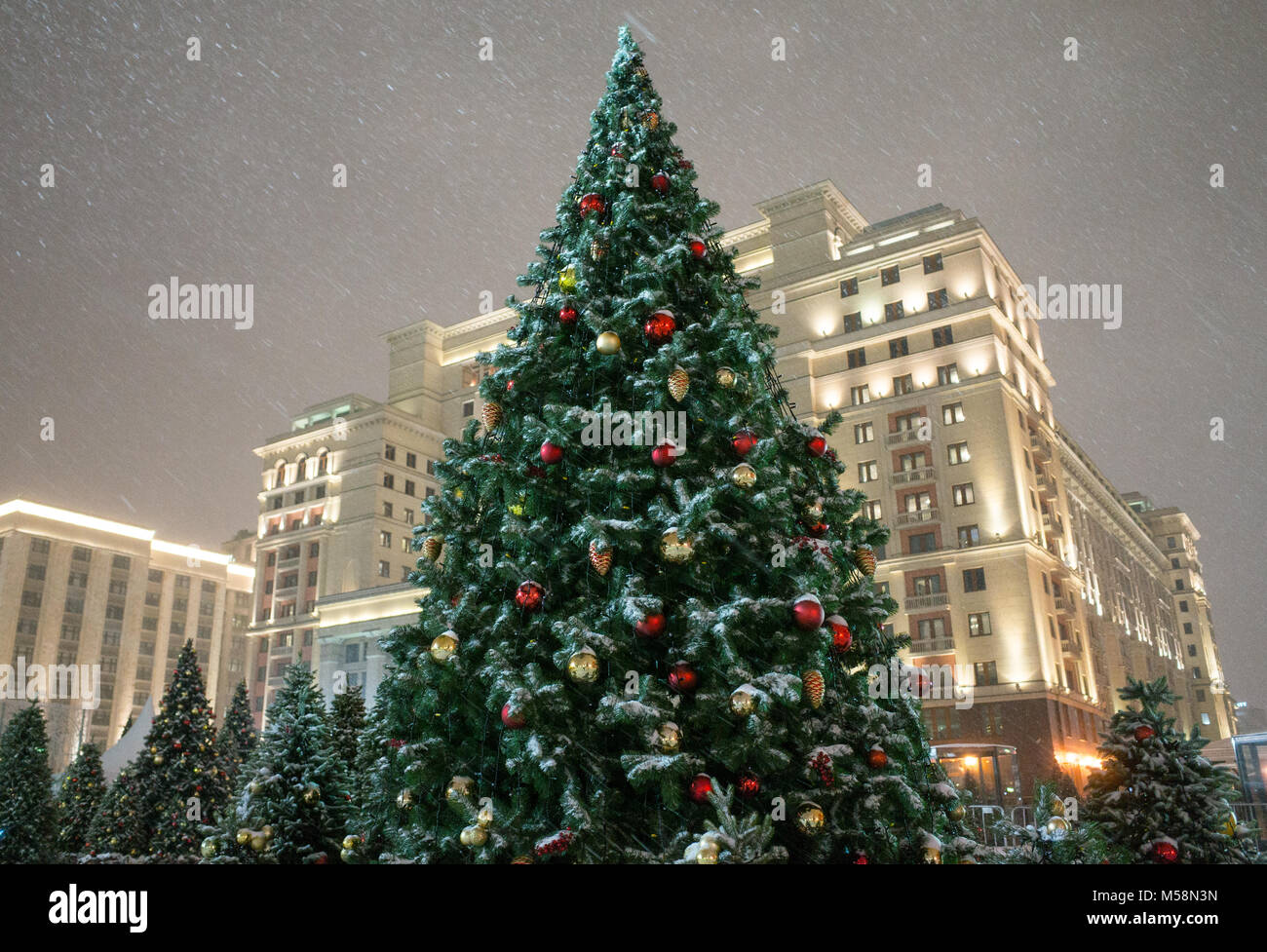 Christmas trees at the Manezh Square in Moscow Stock Photo - Alamy