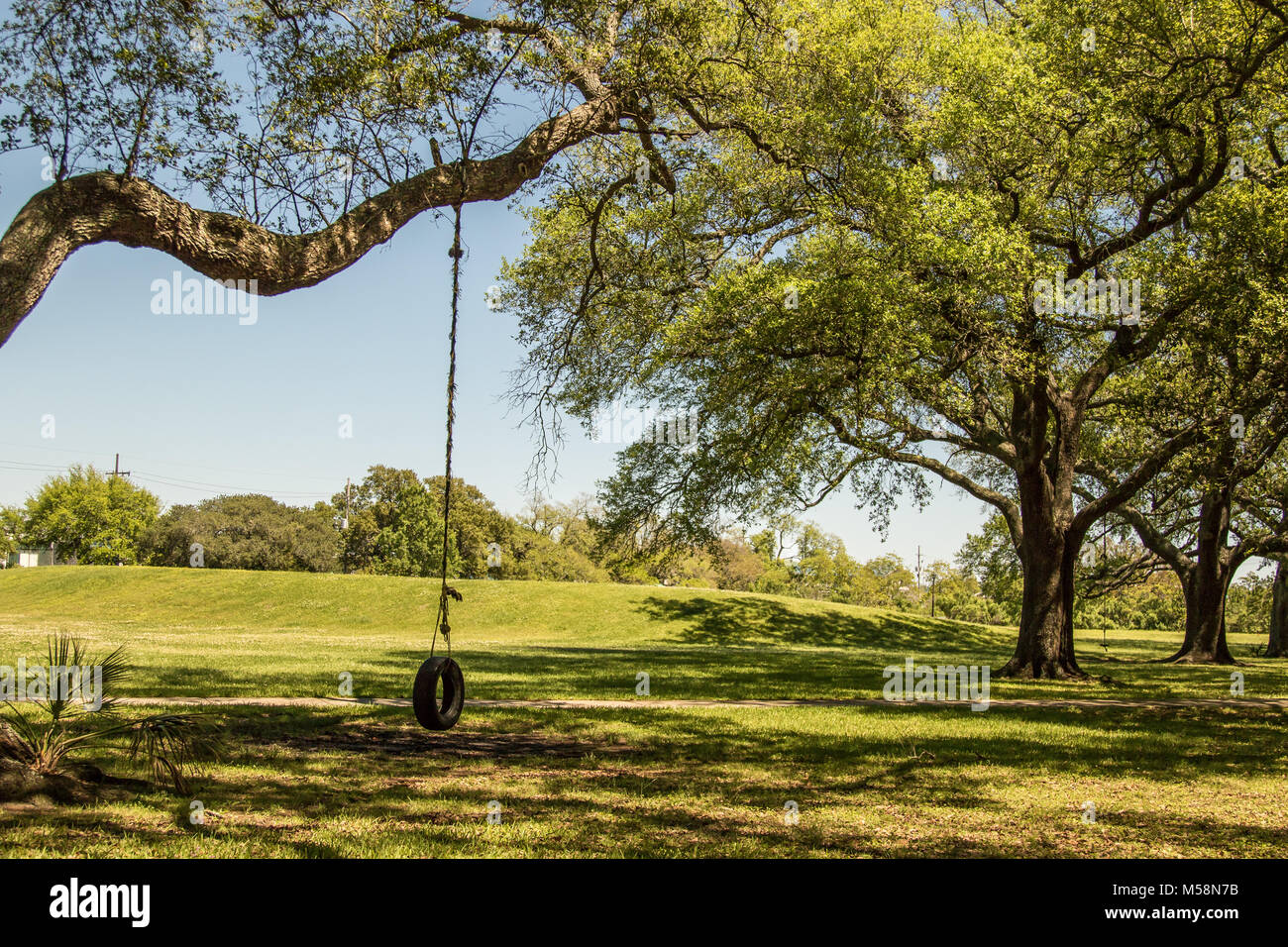 Swing in Park Stock Photo - Alamy