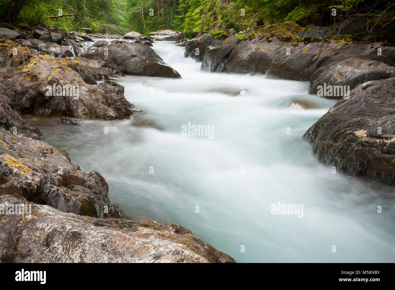 Salmon Cascades on the Sol Duc River in Olympic National Park ...