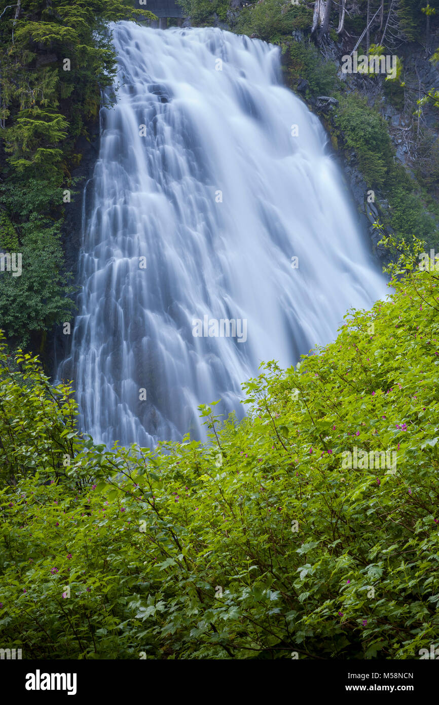 Narada Falls in Mt Rainier National Park, Washington Stock Photo - Alamy