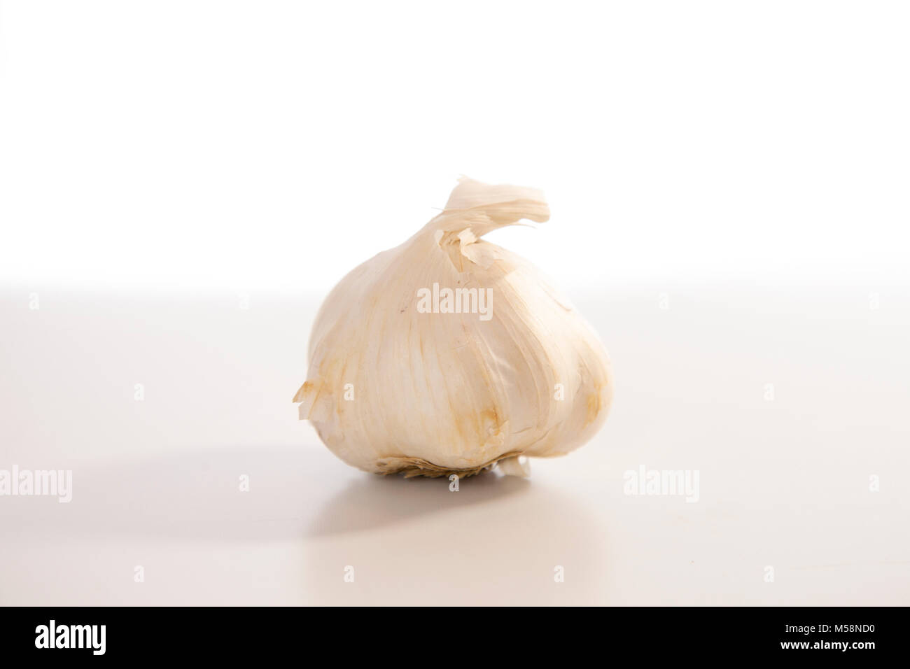 One Simple Garlic Bulb on a White Background Stock Photo - Alamy