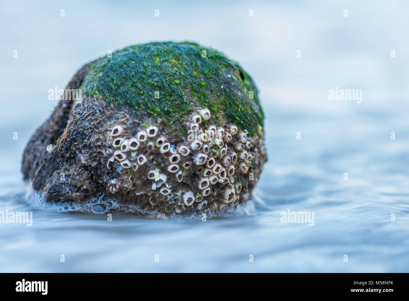 Water Washes Over Small Rock Along Beach Stock Photo - Alamy