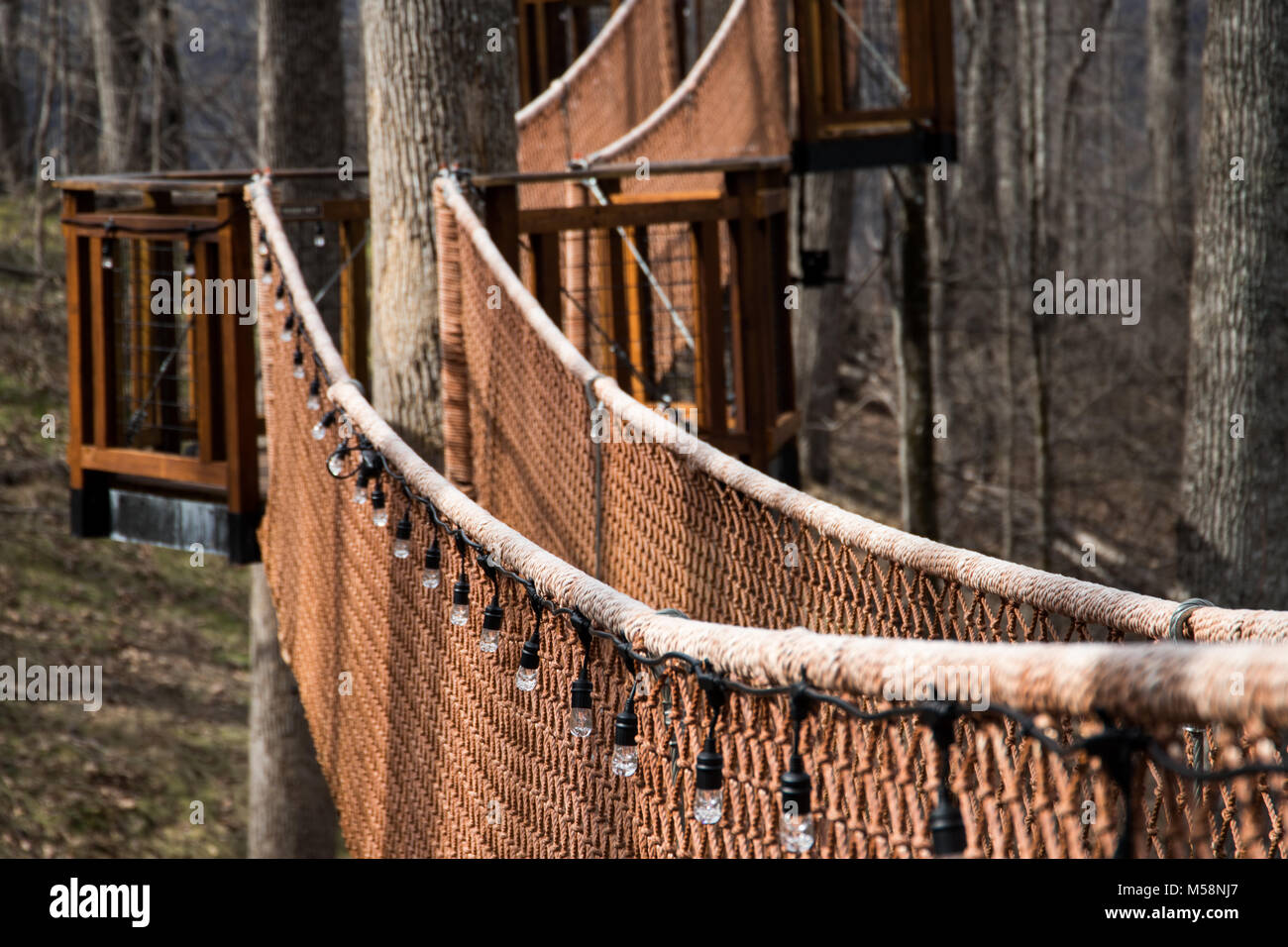 Rope Ladder In Forest Stock Photo - Alamy