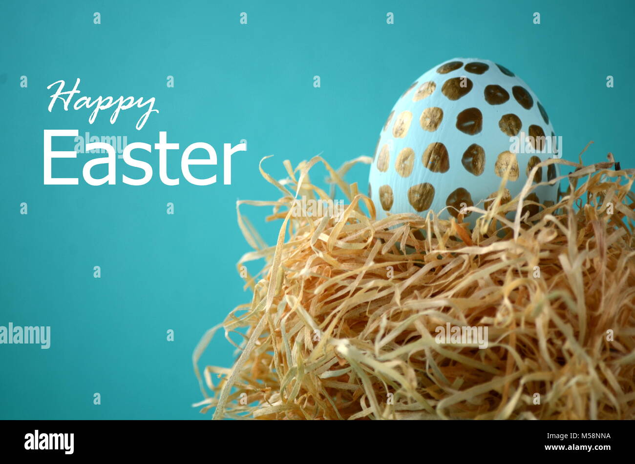 Solid egg colors hi-res stock photography and images - Alamy