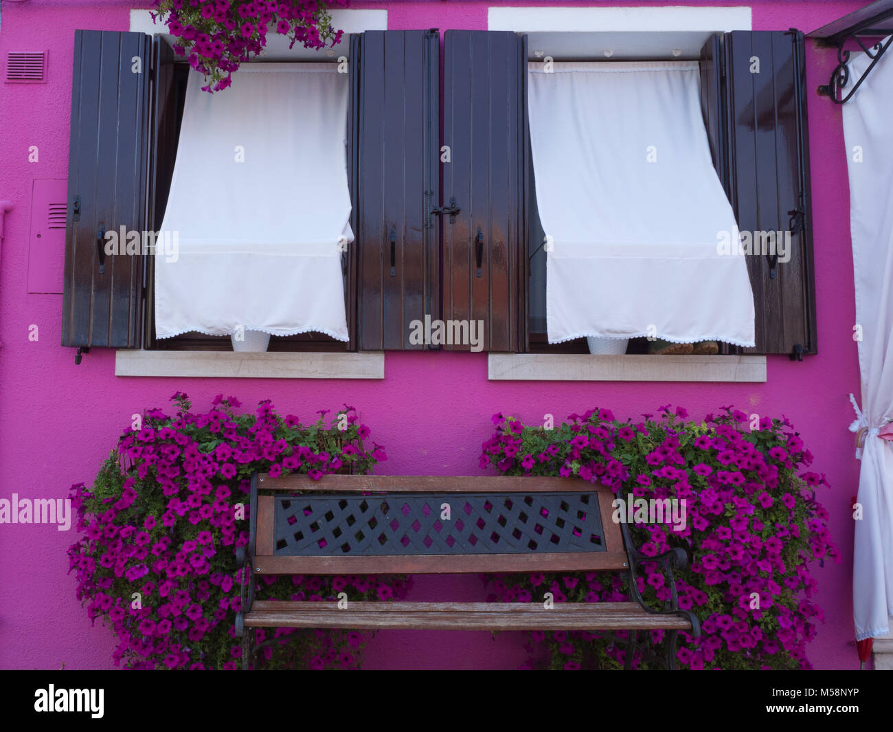 Fuchsia colored flower hi-res stock photography and images - Alamy