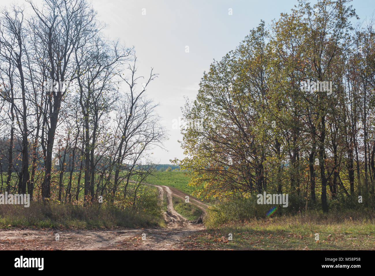 Russian summer Landscape with Field and countryside road Stock Photo ...