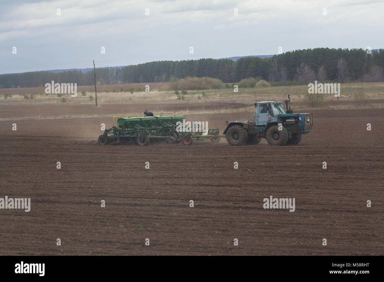 Spring agricultural - tractor sowing crops at field Stock Photo - Alamy