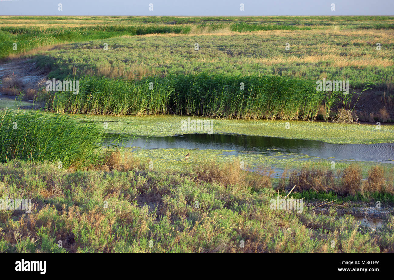 Volgograd region hi-res stock photography and images - Alamy