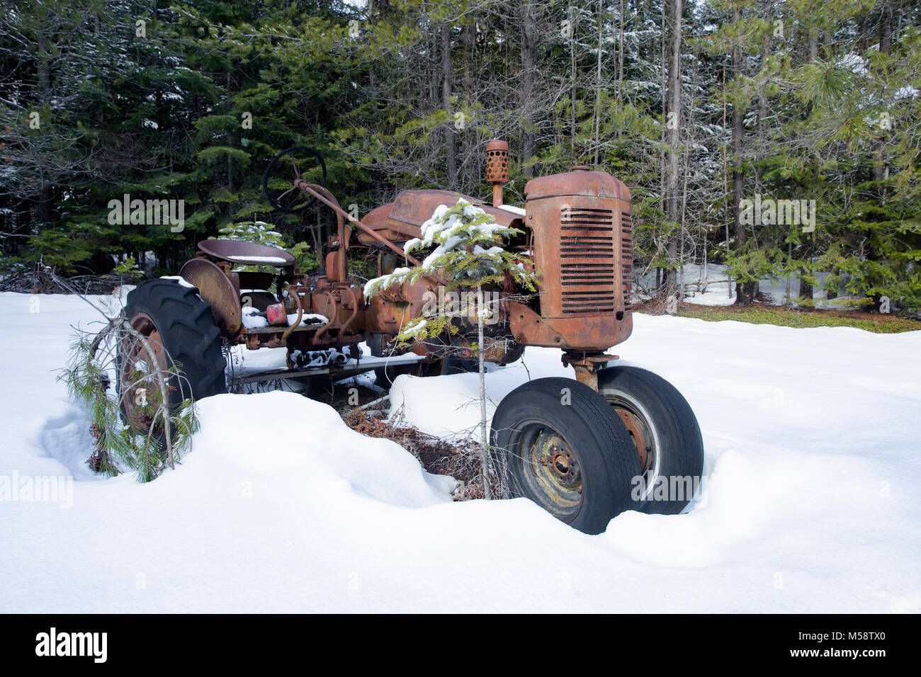 An old International Farmall Cub tractor in the snow, by a homestead on ...