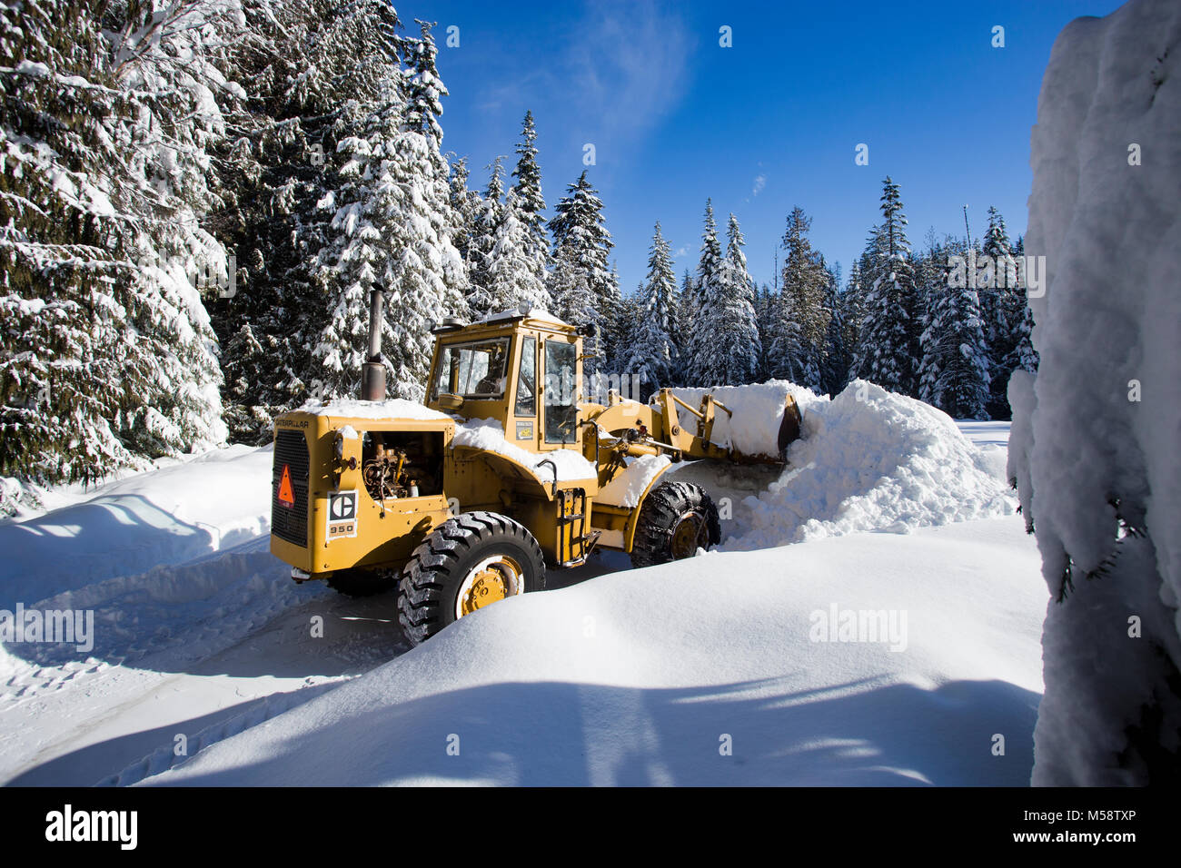 1972 Cat 950 Whell Loader