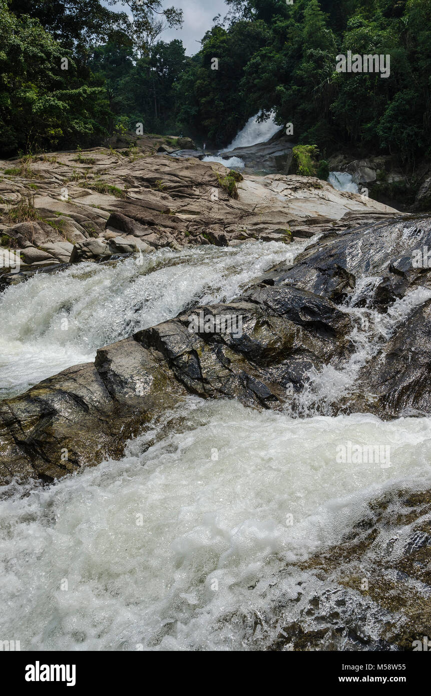 Fresh green waterfall misty rain hi-res stock photography and images ...
