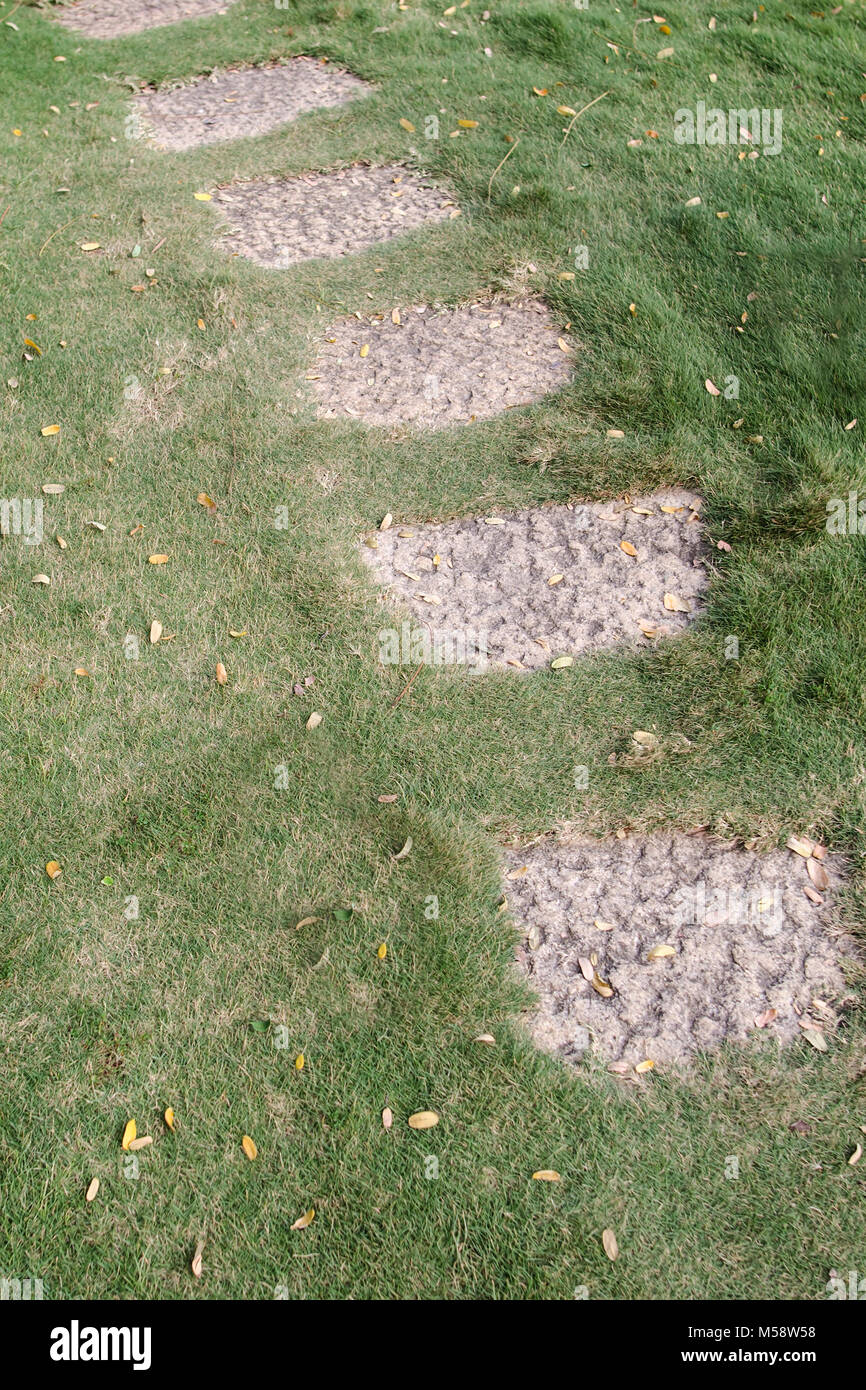 Stone path - Stone path in grass bed Stock Photo - Alamy