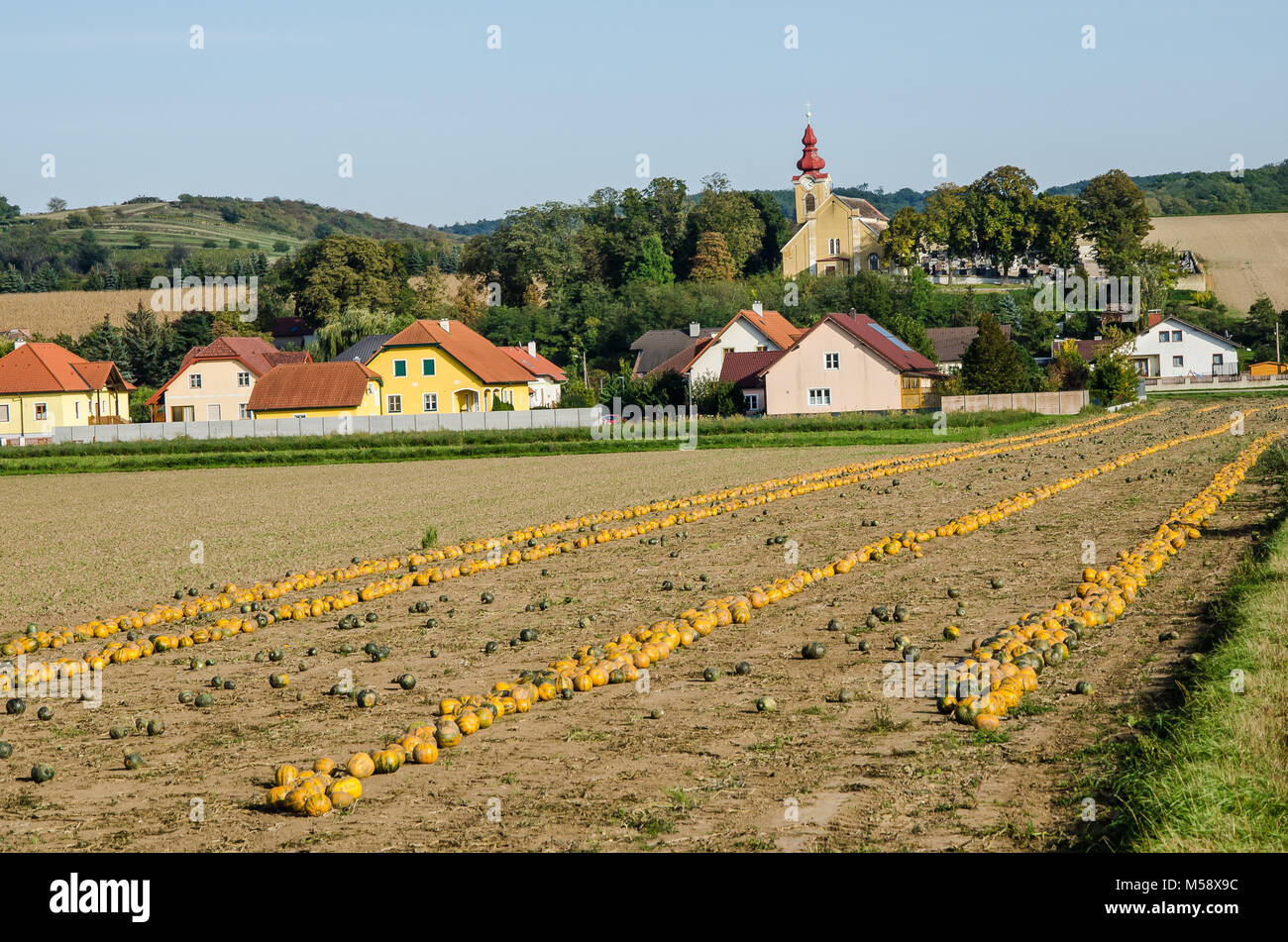 The region around Retz has become known for its annual pumpkin harvest ...