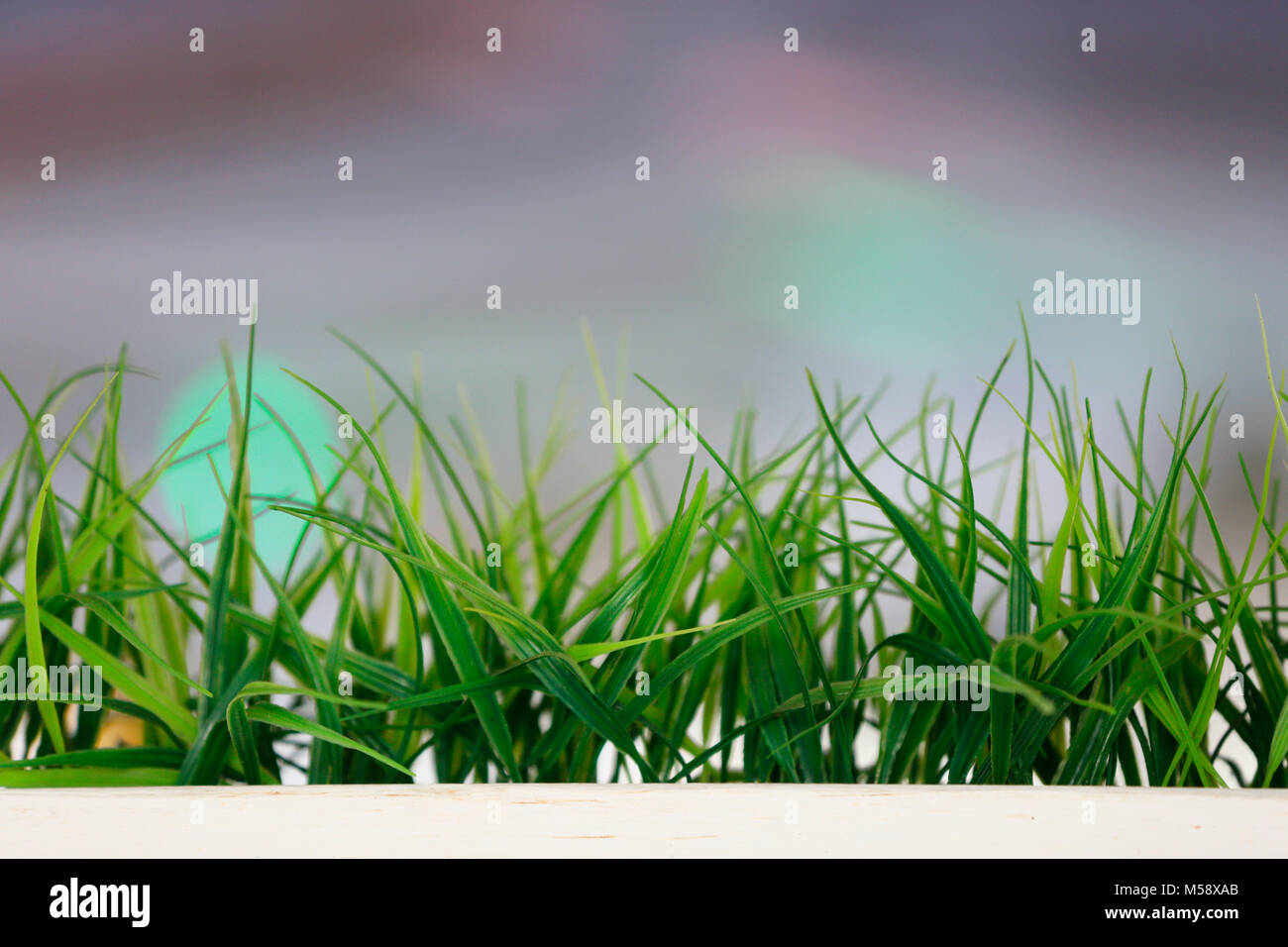 Green grass bio lawn pattern hi-res stock photography and images - Alamy