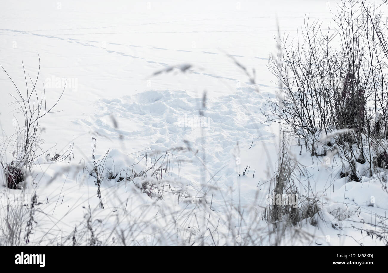 Clear perfect snow in winter field at sunny weather Stock Photo - Alamy