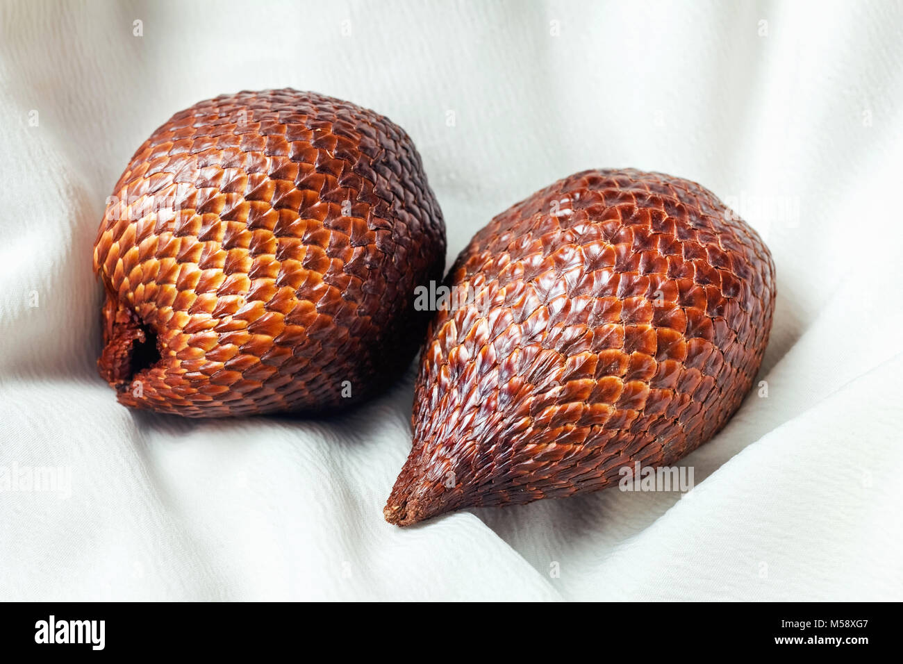 Salacca zalacca fruit from east and south on light background Stock ...