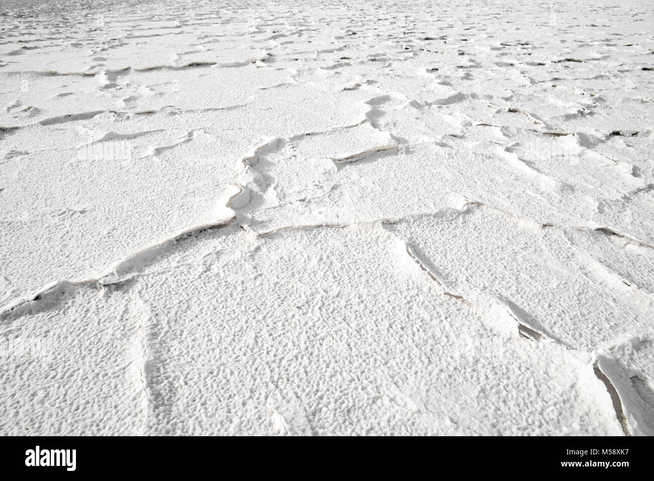 Salt crust in the shore of lagoon and salt lake Tuyajto, Altiplano ...
