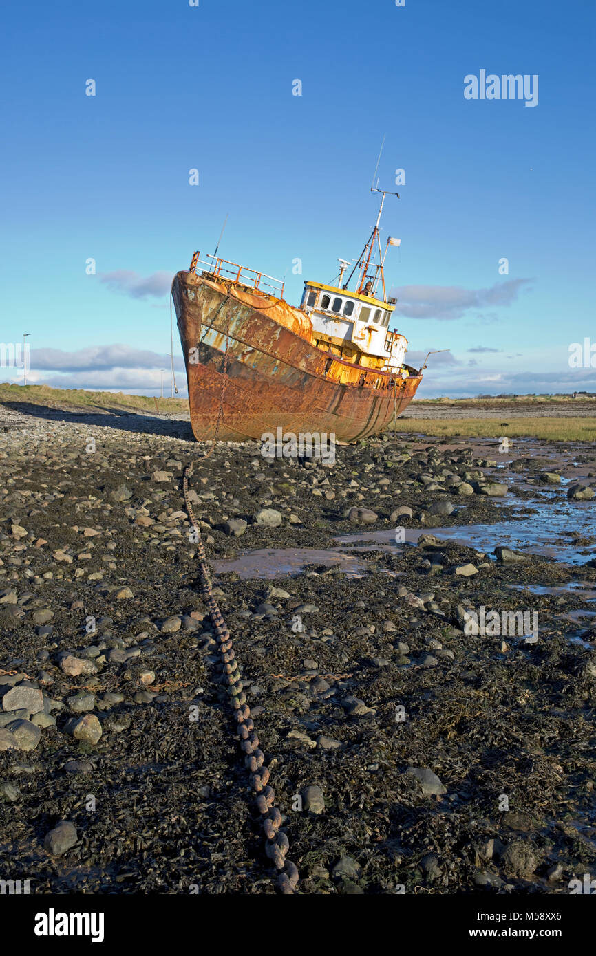 Rusty Belgian trawler Vita Nova abandoned on beach, Roa Island, Cumbria ...