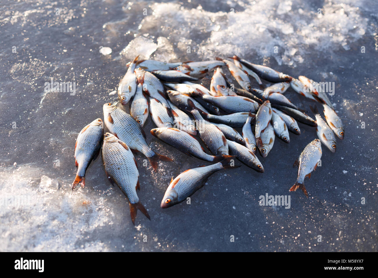 Leisureactivity hi-res stock photography and images - Alamy