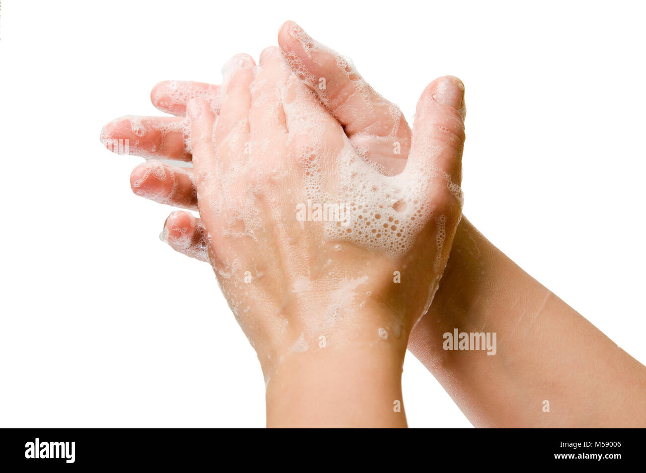 Close-up of two lather-covered female hands against white background ...