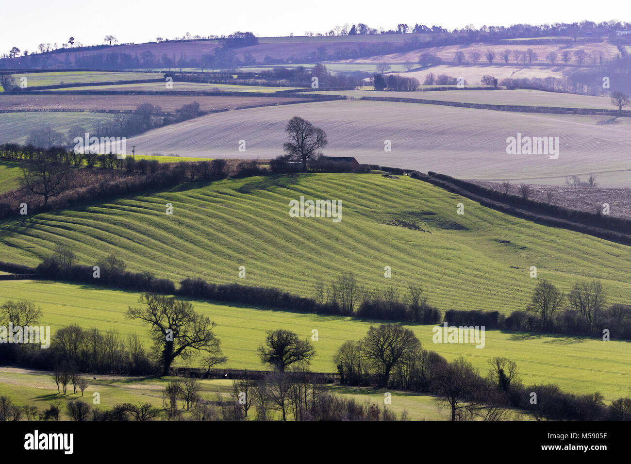 Medieval ridge and furrow hi-res stock photography and images - Alamy