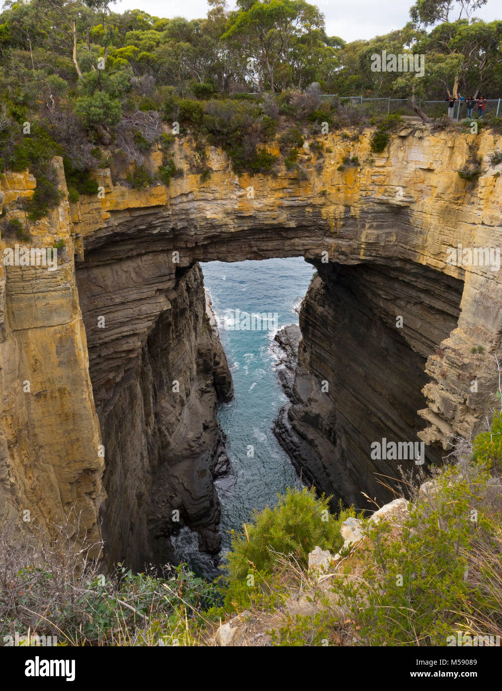 Tasman Arch unusual geological formations Tasman National Park ...
