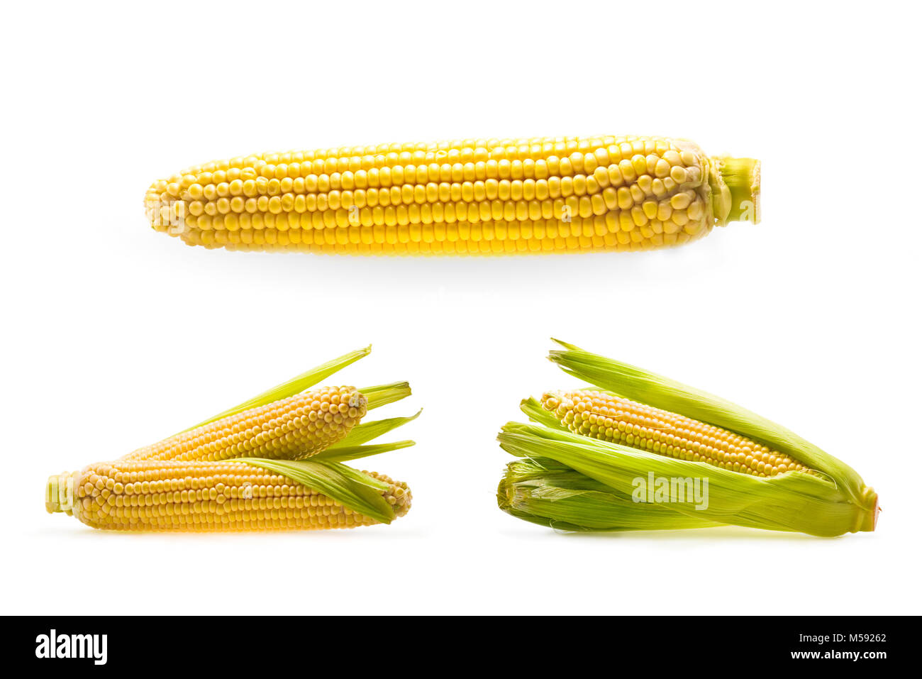 raw corn cobs Stock Photo - Alamy