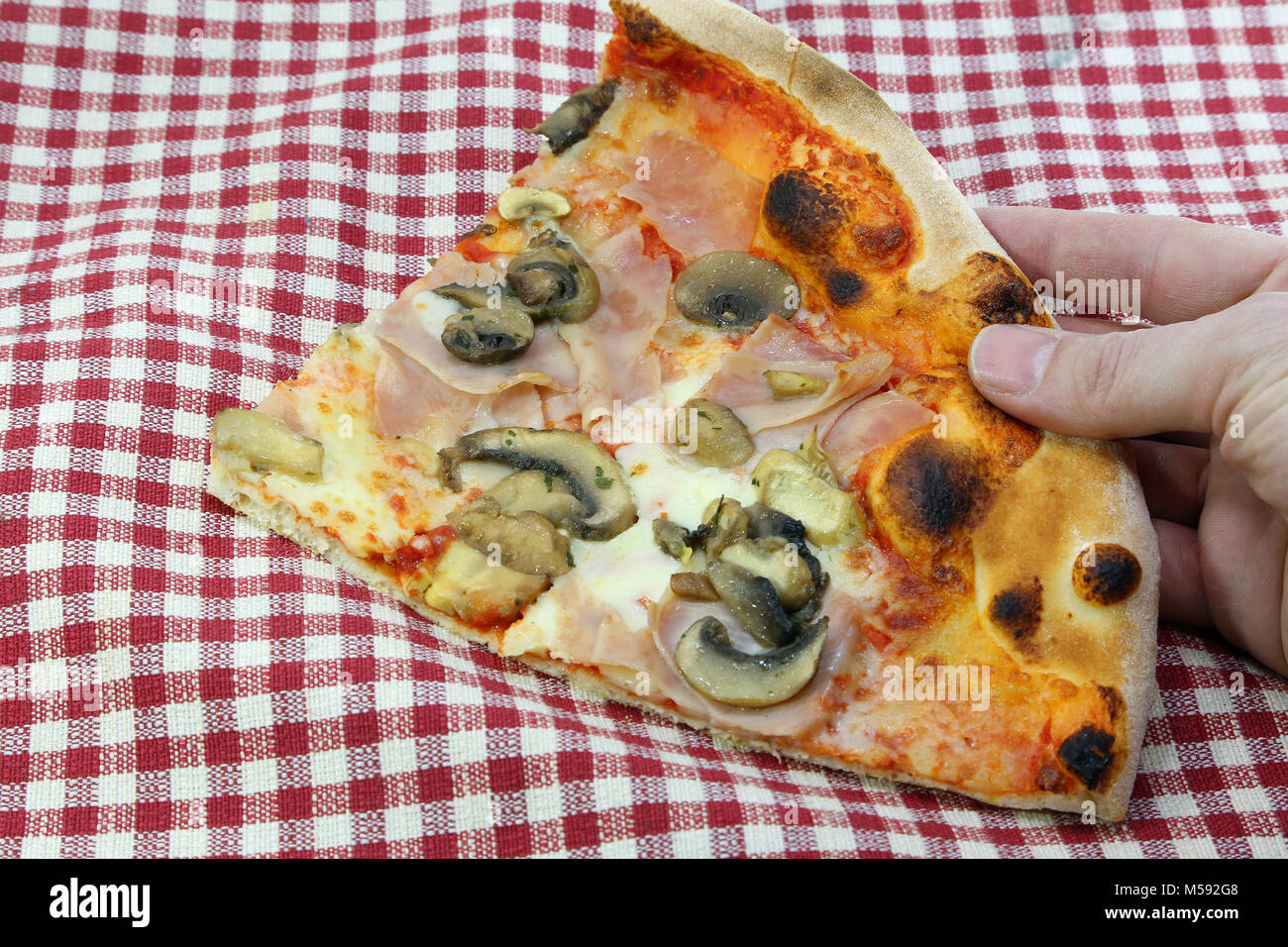 hand grabbing a slice of italian pizza with mozzarella cheese mushrooms ...