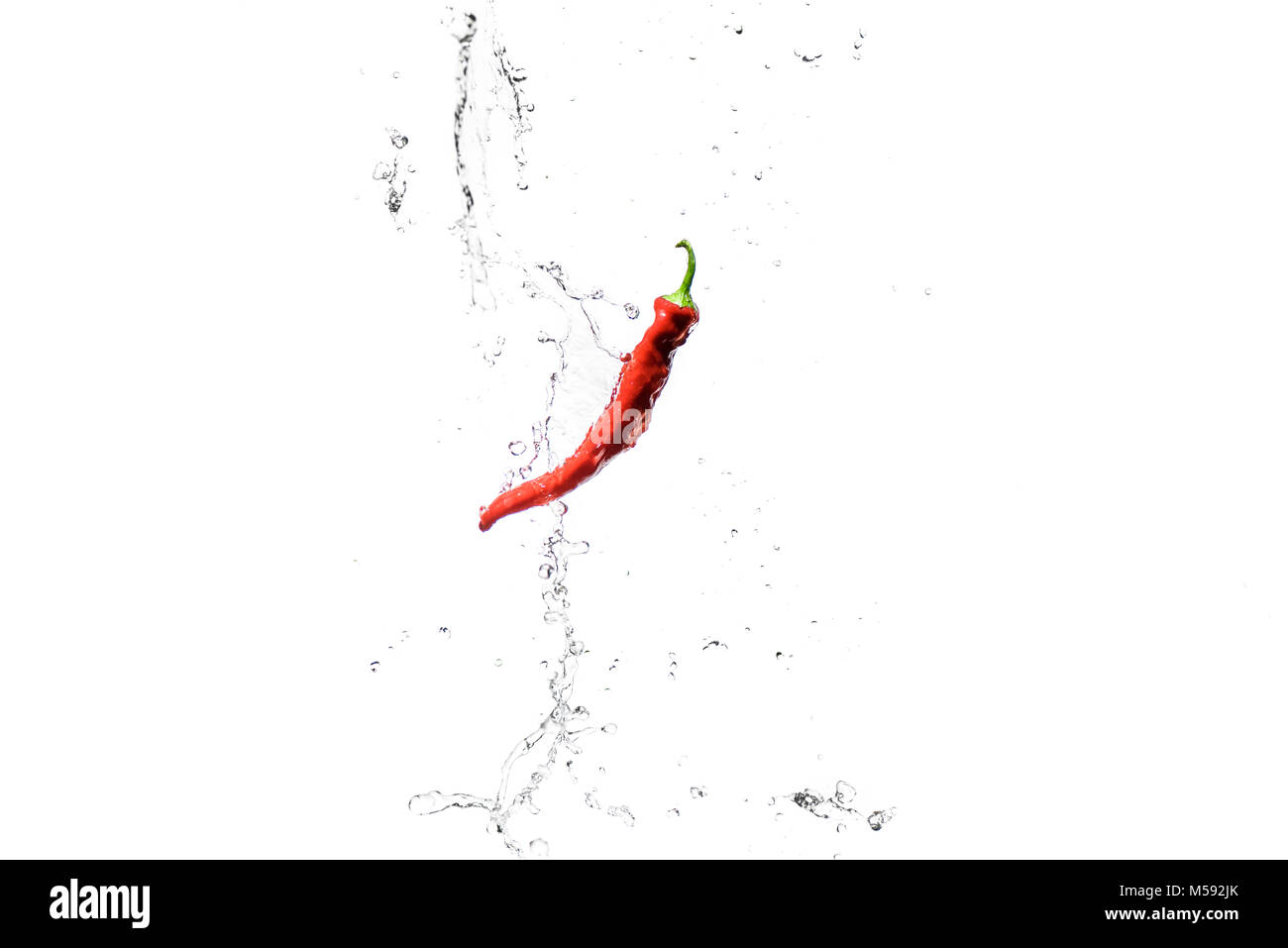 red hot chilli pepper in water splashes isolated on white Stock Photo ...