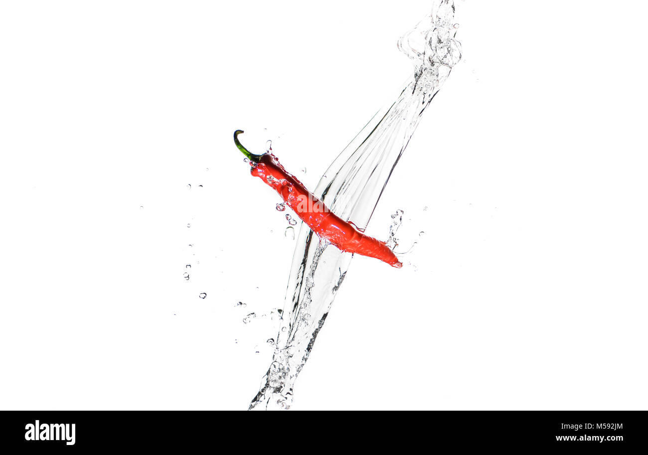 red hot chilli pepper in water splashes isolated on white Stock Photo ...