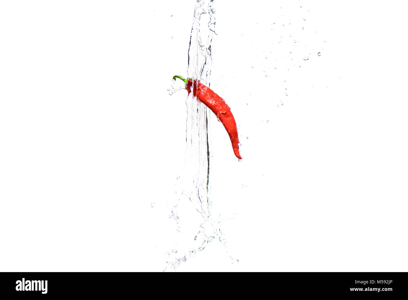 red hot chilli pepper in water splashes isolated on white Stock Photo ...