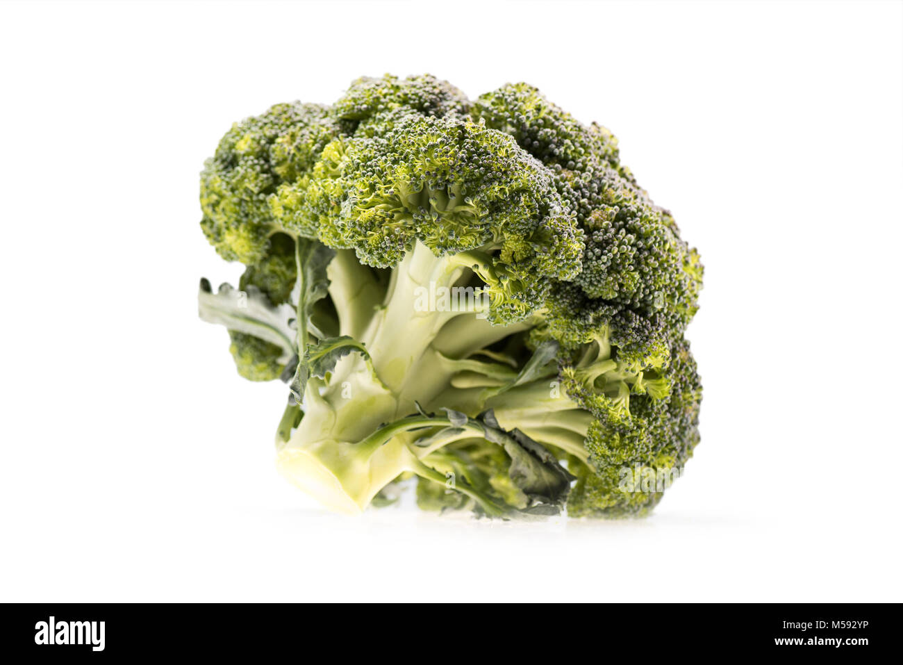 healthy ripe broccoli branch Stock Photo - Alamy