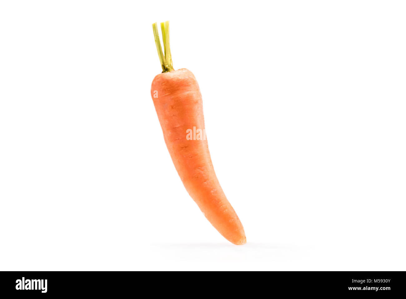single fresh ripe healthy carrot Stock Photo - Alamy
