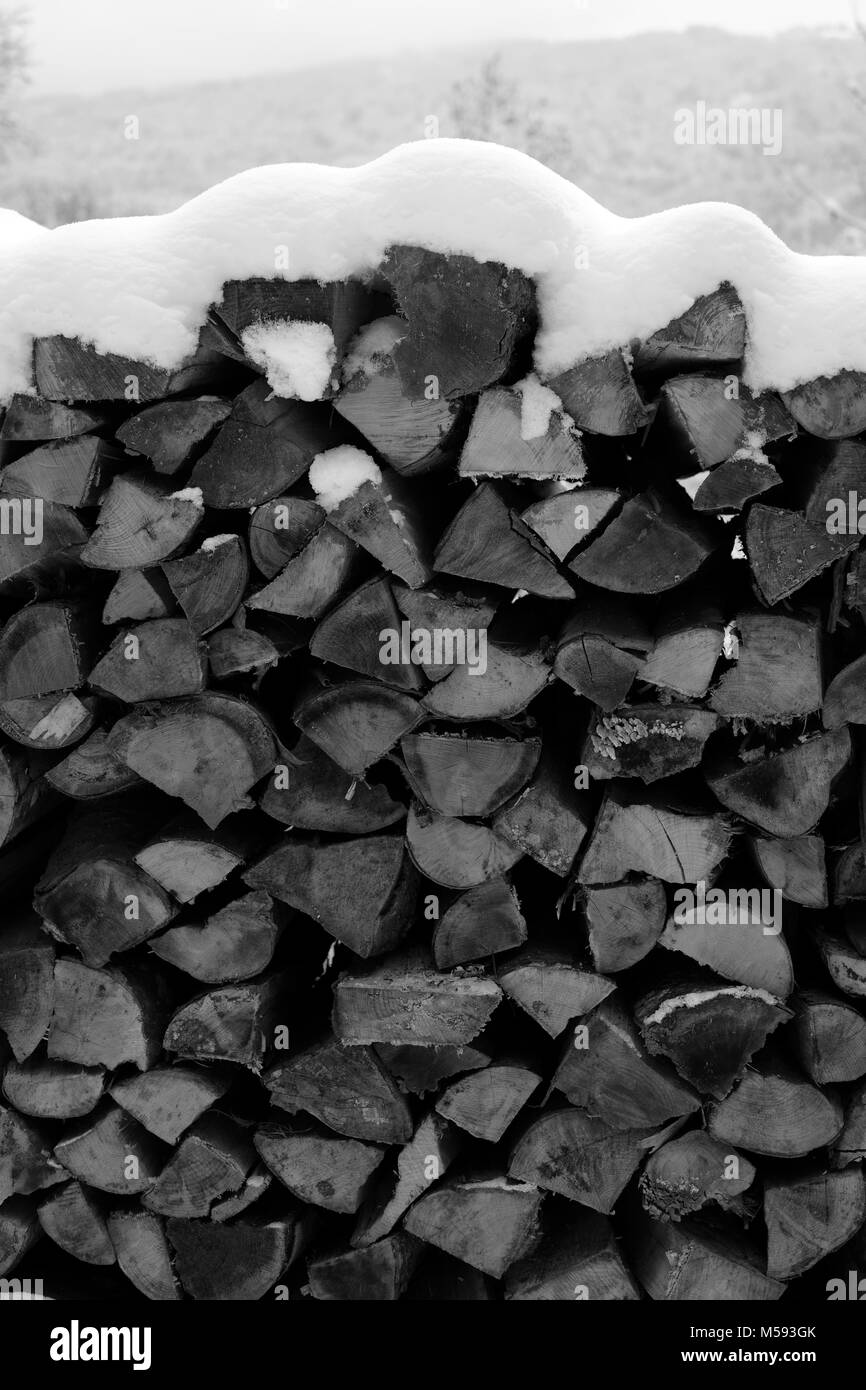 Black And White Pile Of Logs High Resolution Stock Photography and ...