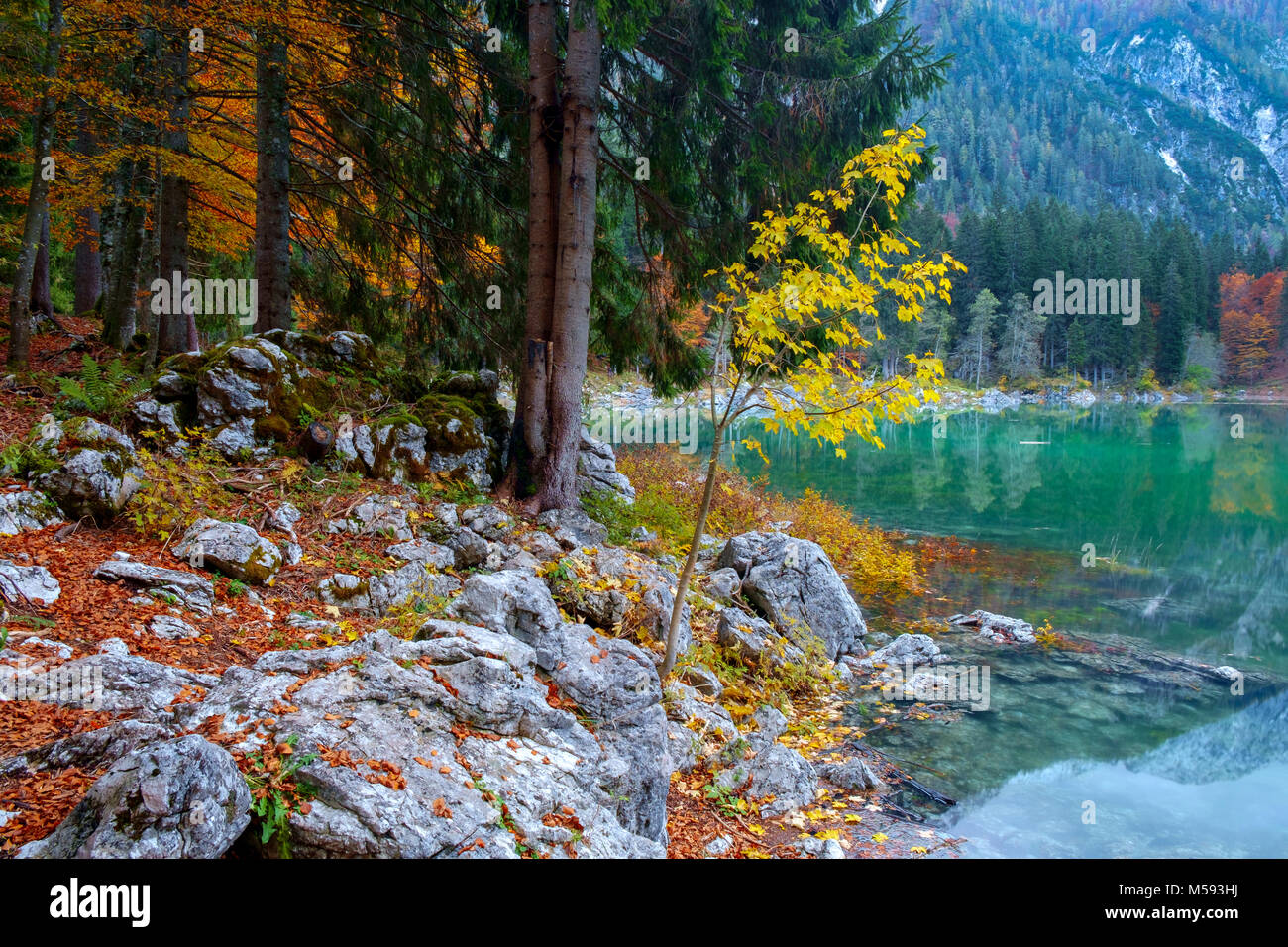 Beautiful Lago di Fusine mountain lake in autumn and Mangart mountain ...