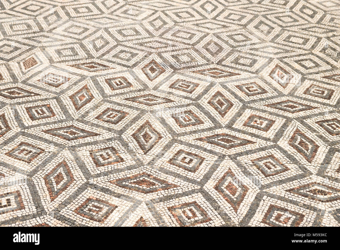 tile at The ancient city of Conimbriga is the largest Roman settlement ...