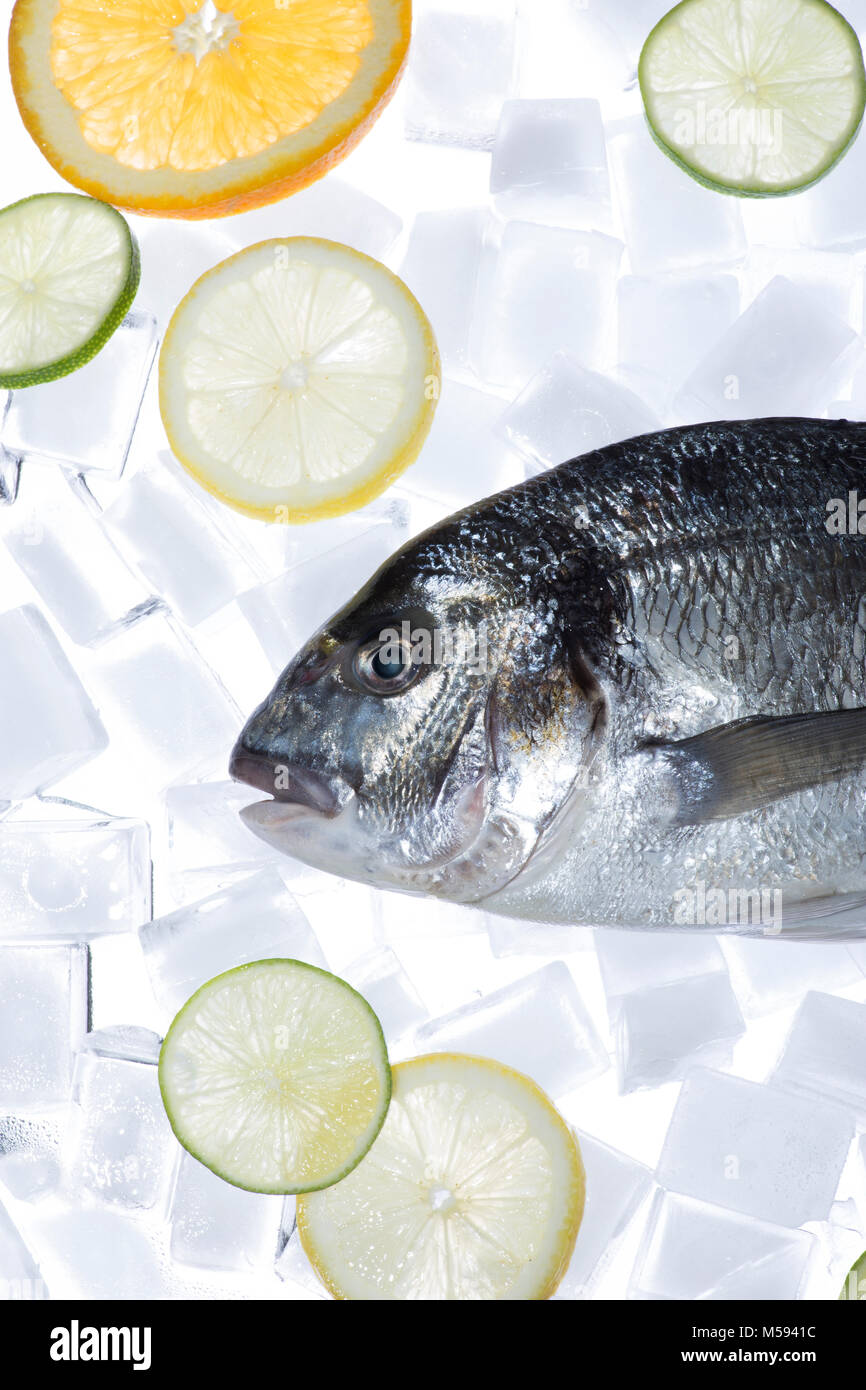 Fish on ice cubes Stock Photo - Alamy