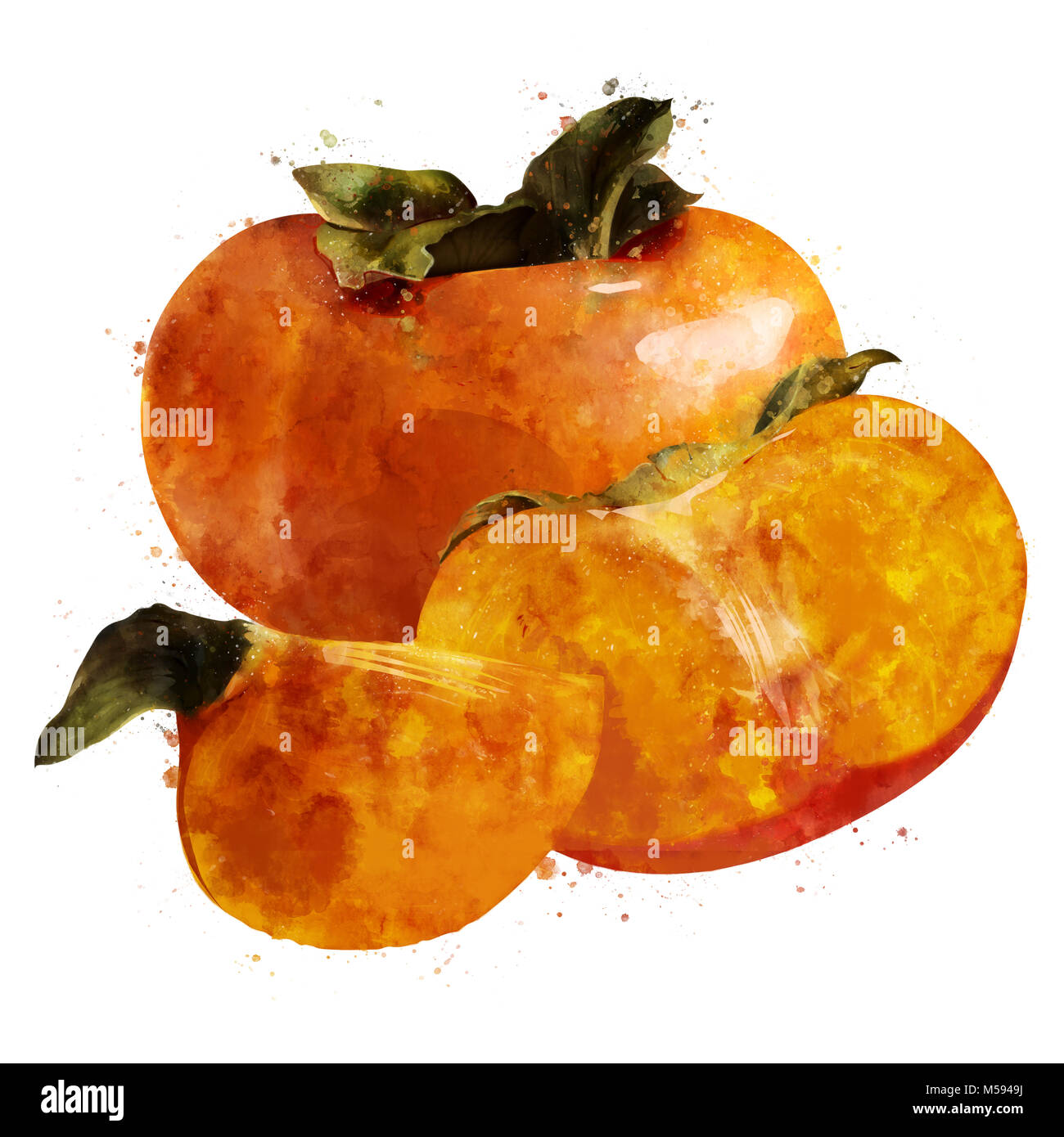 Persimmon on white background. Watercolor illustration Stock Photo - Alamy