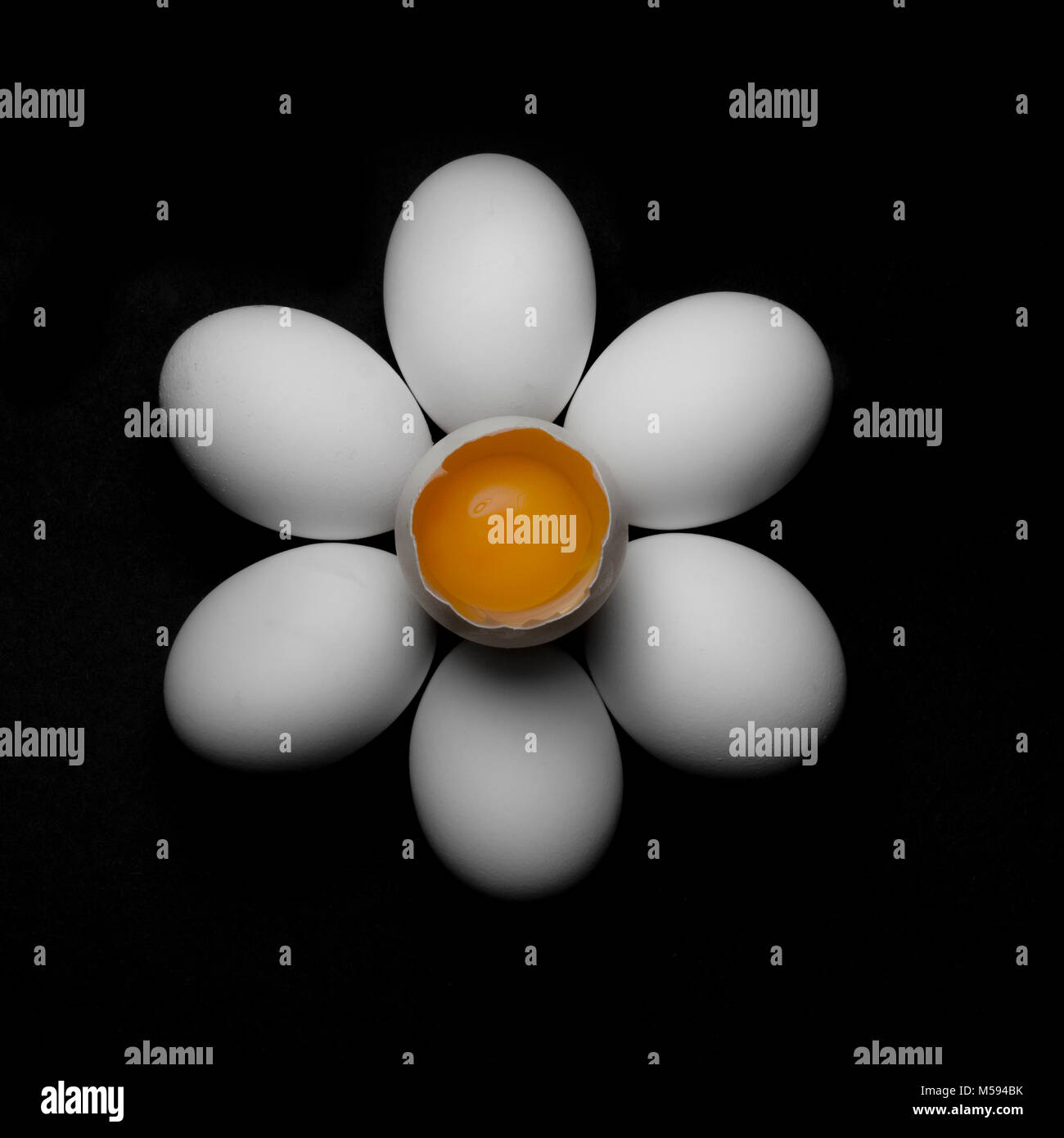 Egg Yolk Flower High Resolution Stock Photography and Images - Alamy