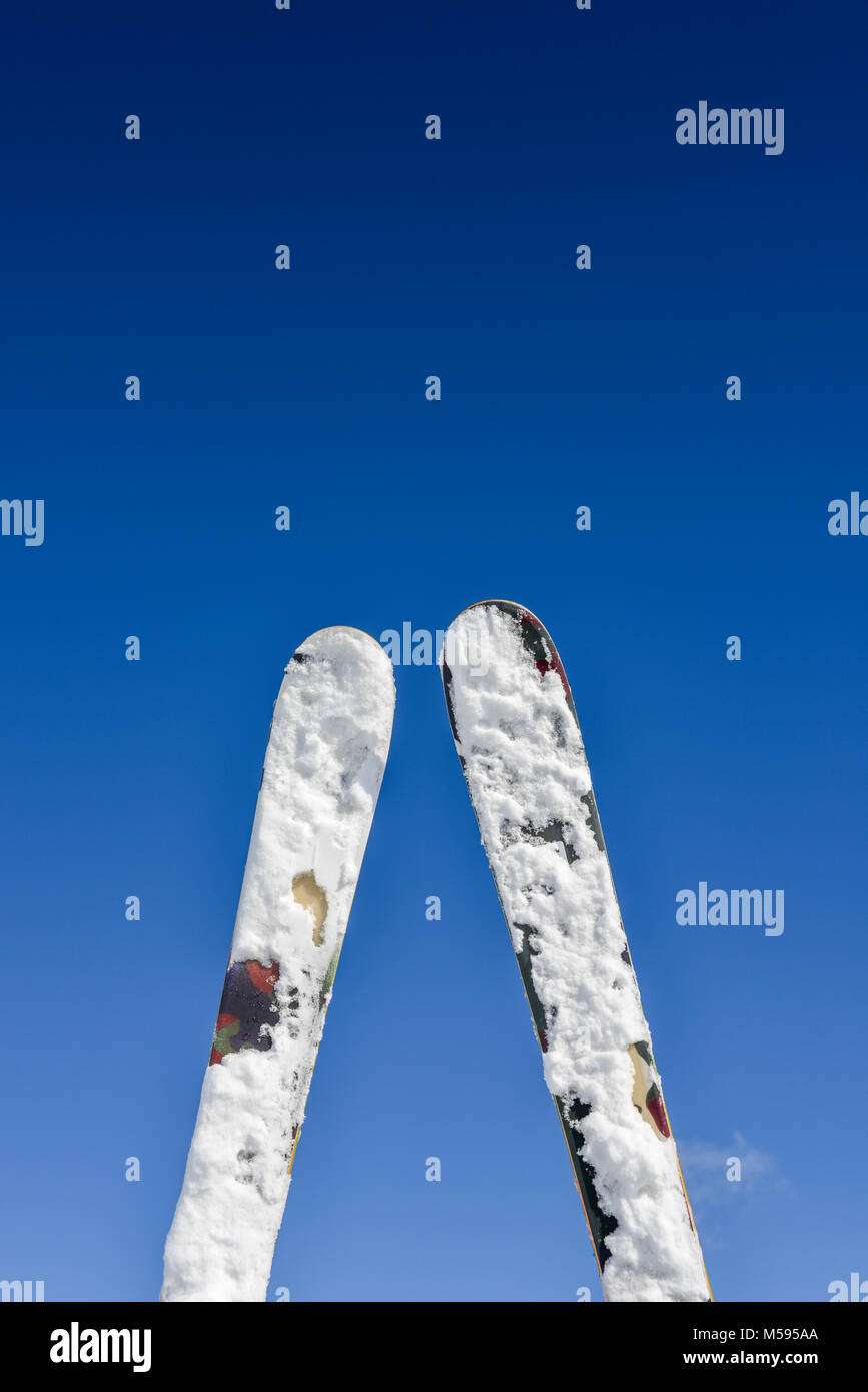 Pair of skis worn by a skier pointing up with a mountain range on ...
